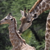 Central Namibia | Namibia Safari Vacations