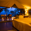 Kilima Camp | Maasai Mara, Kenya Luxury Camps | Yellow Zebra Safaris
