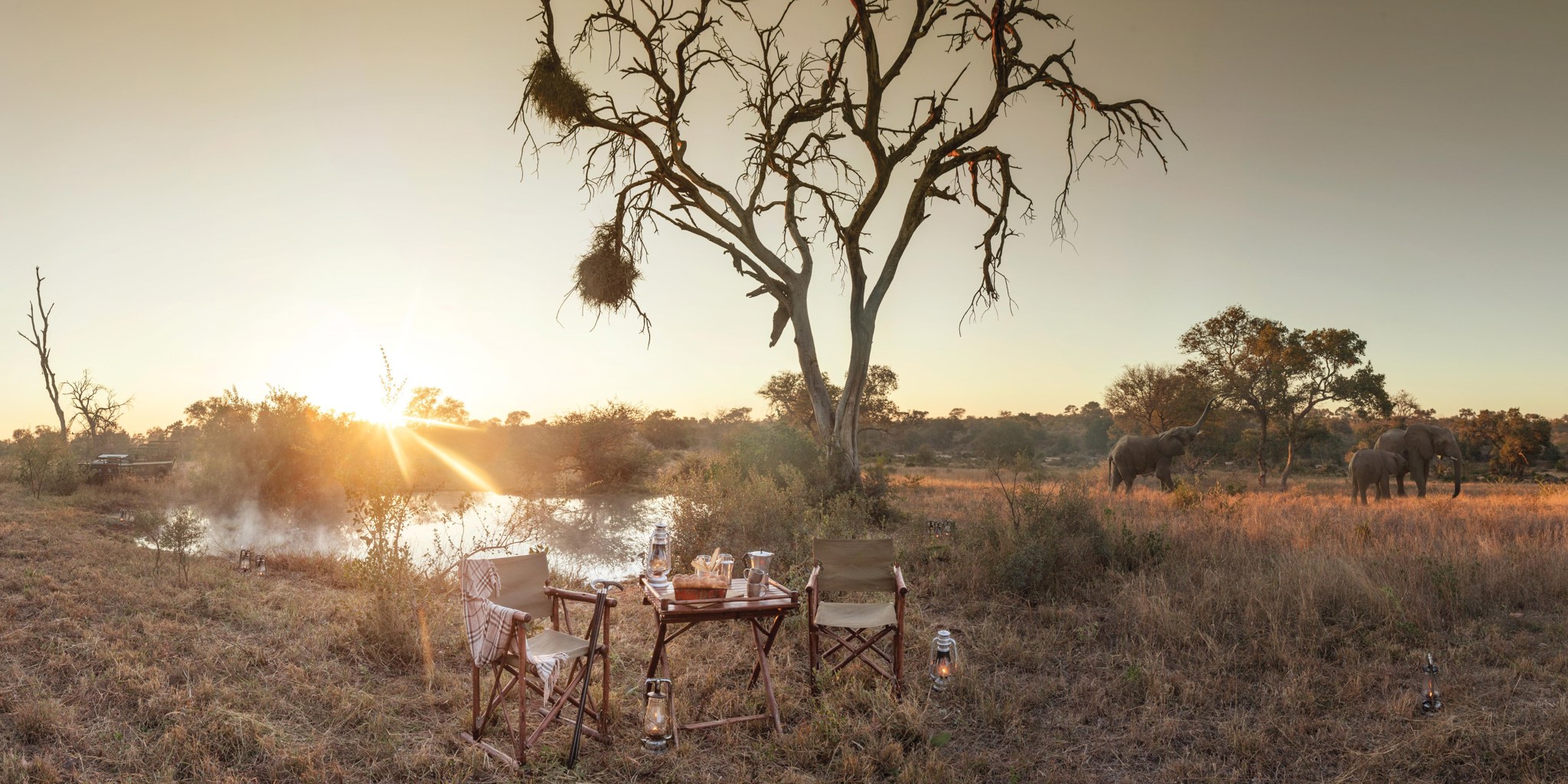 Timbavati Game Nature Safaris | South Africa