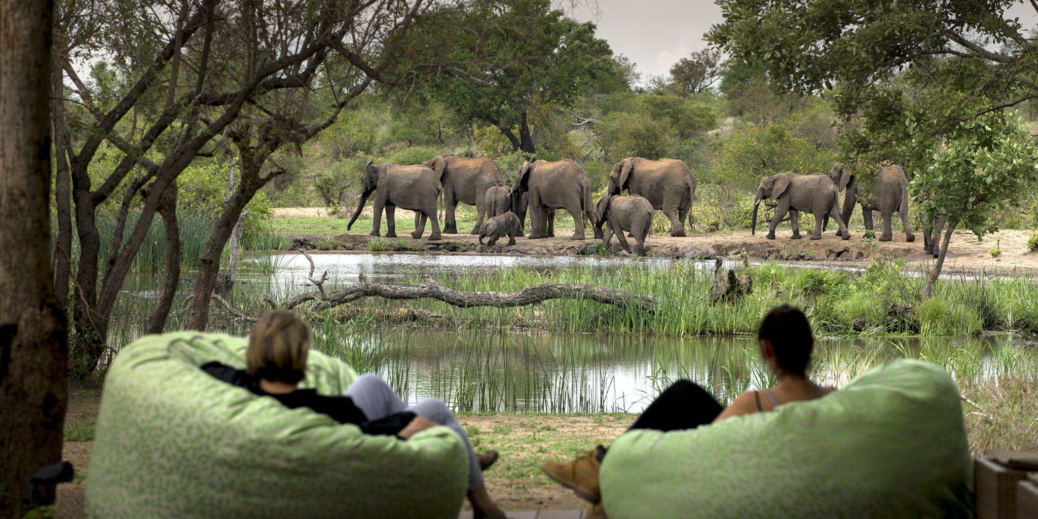 Timbavati Game Nature Safaris | South Africa
