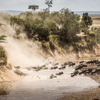 Safari Parks in Kenya | Africa Game Reserves | Yellow Zebra Safaris