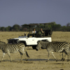 Zimbabwe Safari Vacations | Yellow Zebra Safaris