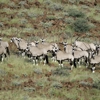 Where to go in Namibia | Best Places to Visit