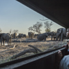 Botswana & You | Luxury Vacation Safari Types