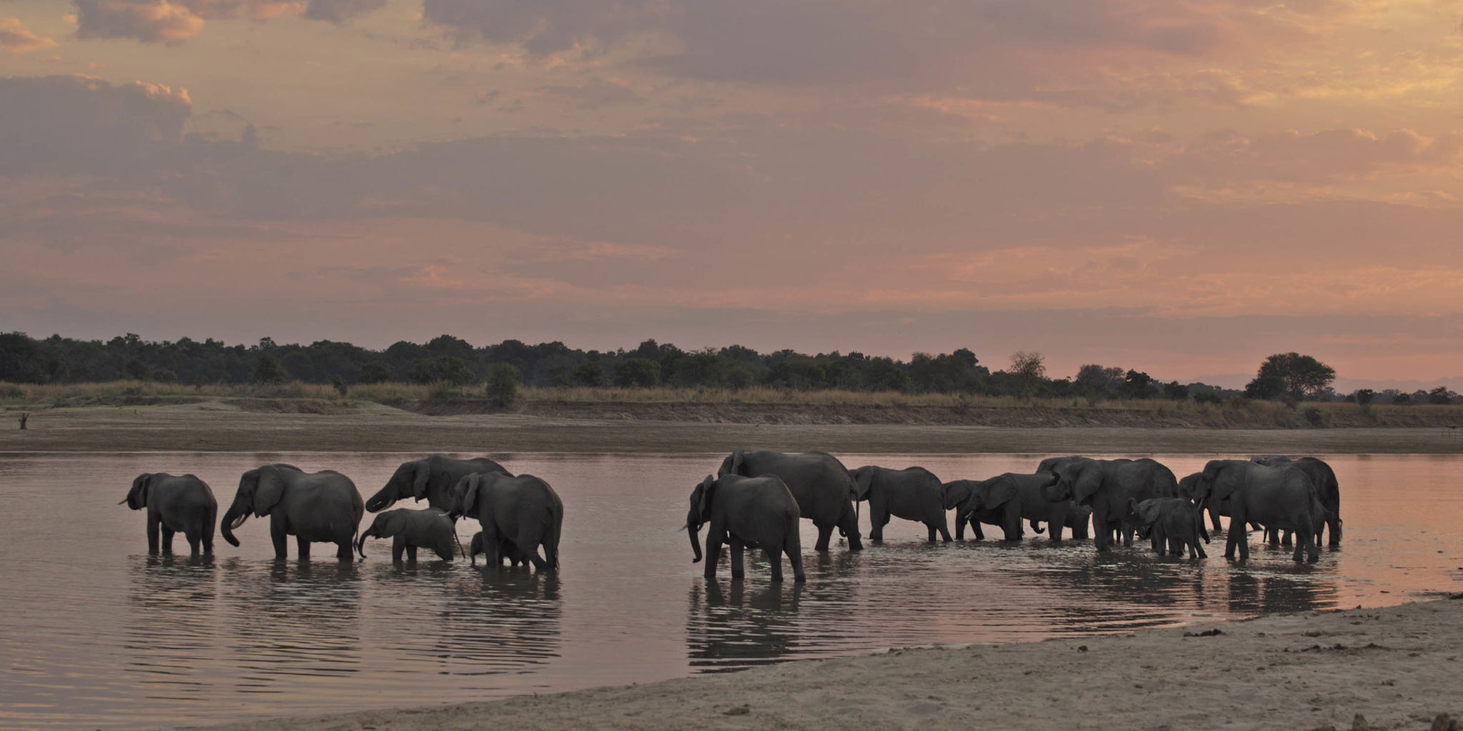 South Luangwa National Park Safaris | Zambia