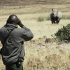 Black Rhino Tracking, Namibia | Africa Safaris