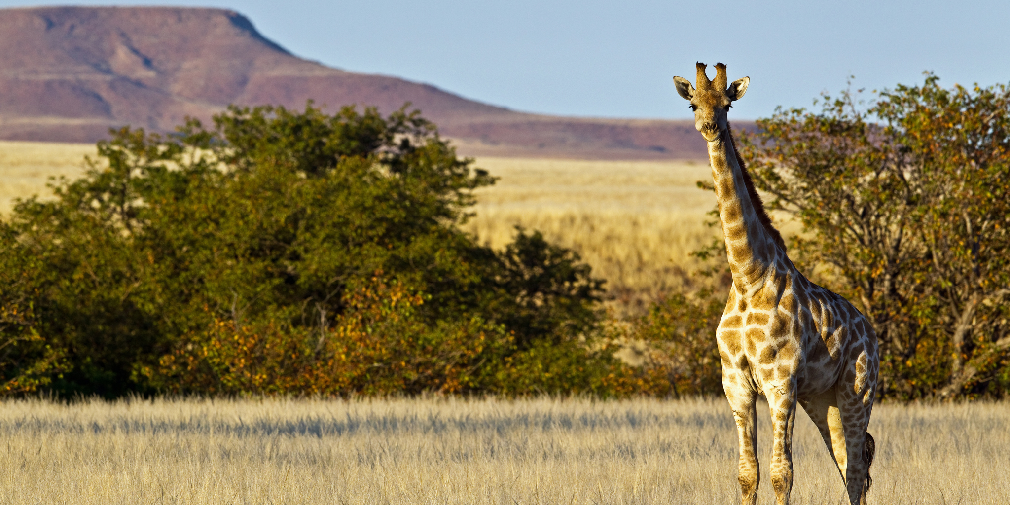 Where to go in Namibia | Best Places to Visit