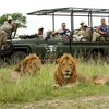 Namibia guides and blogs | Yellow Zebra Safaris