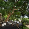 Top Safari Dining Experiences | Romantic Africa