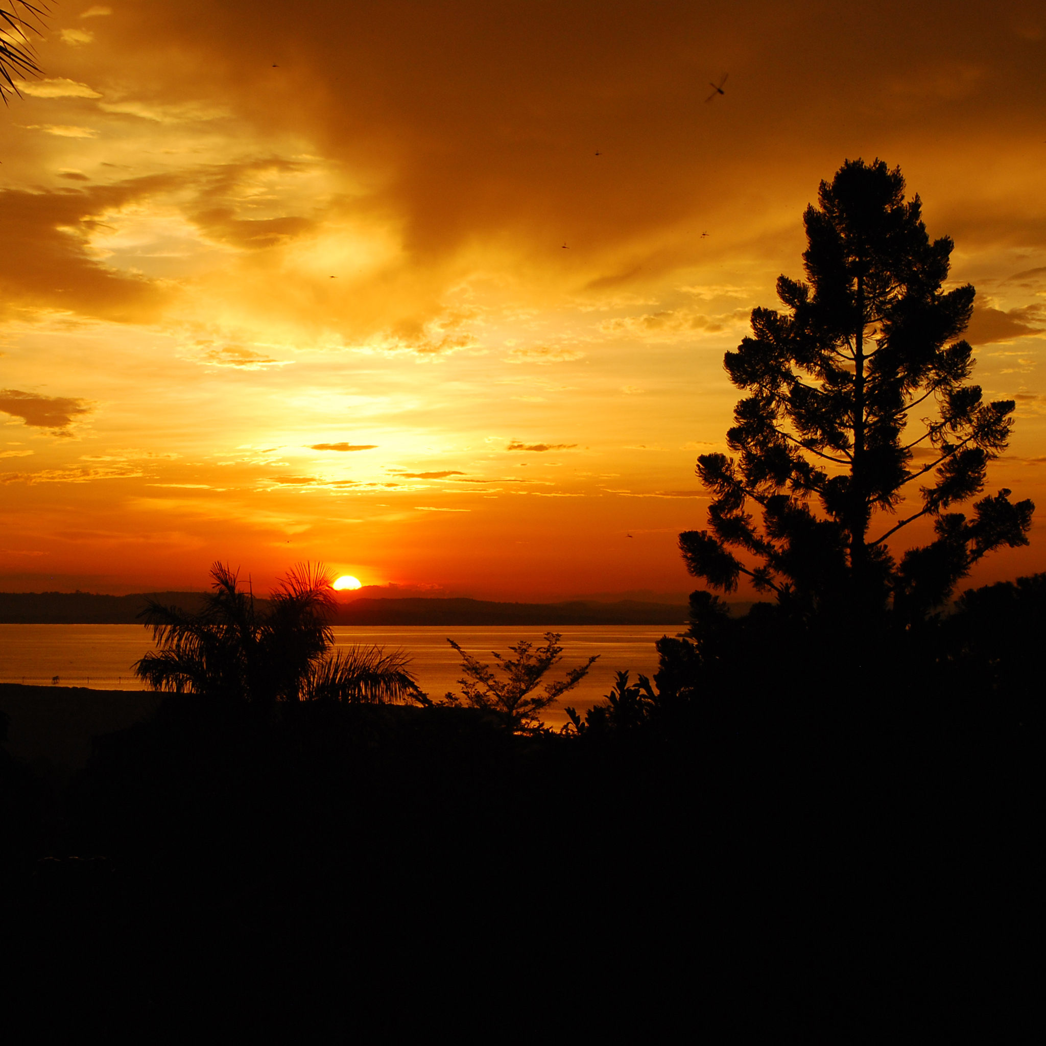 From the source of the Nile to the Mountain Gorillas