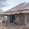 Nyikani Camp Tarangire | Camps in Tanzania