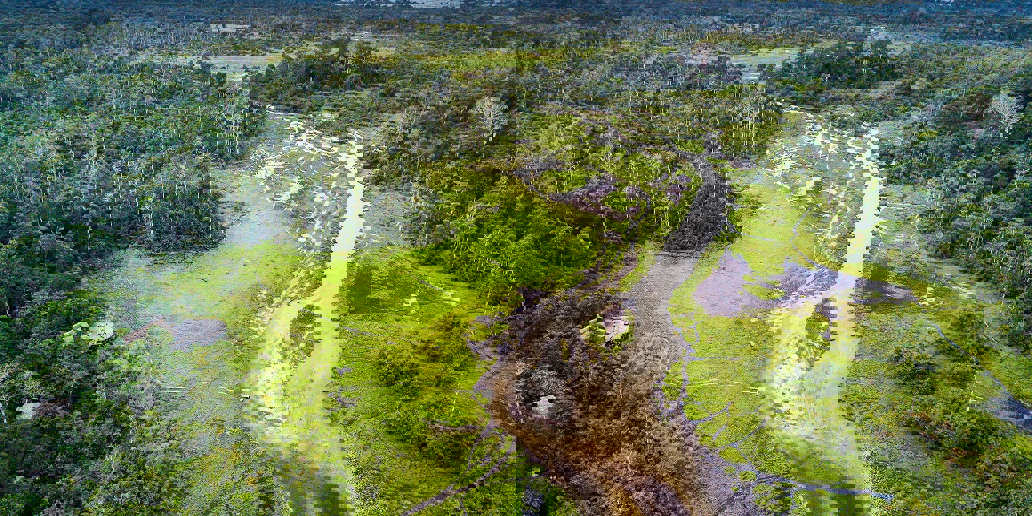 Republic of the Congo Safaris | Safari Holidays