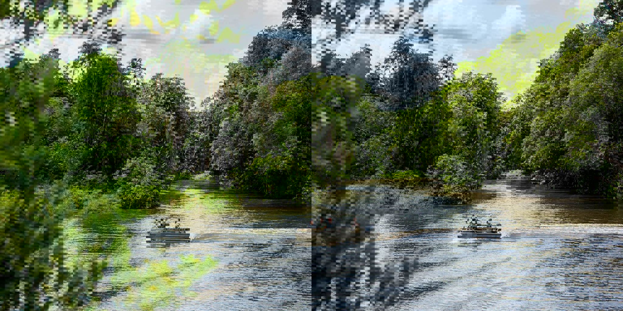 Republic of the Congo Safaris | Safari Holidays