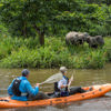 River Kayaking