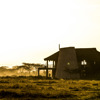Segera Retreat | Kenya Luxury Safari Lodges