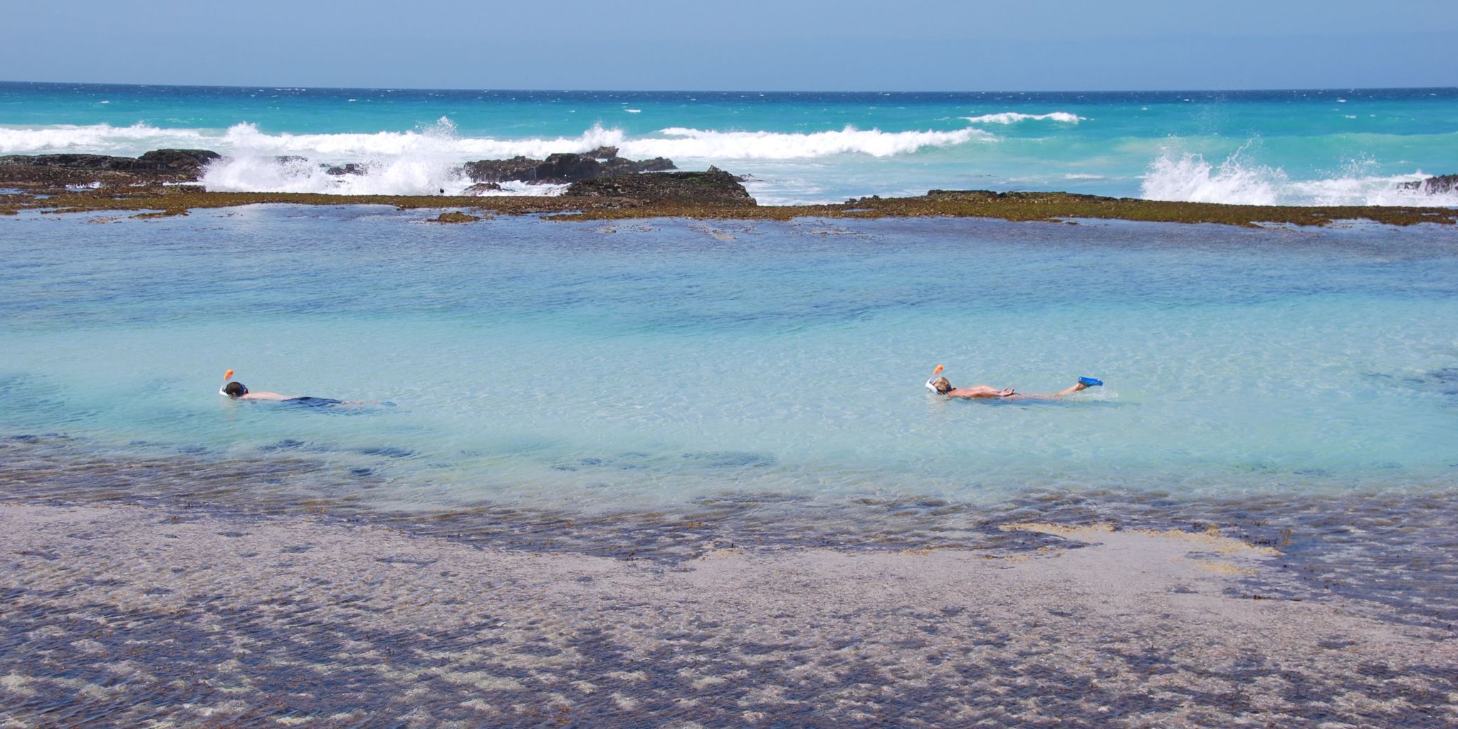 De Hoop Nature Reserve Safaris | South Africa