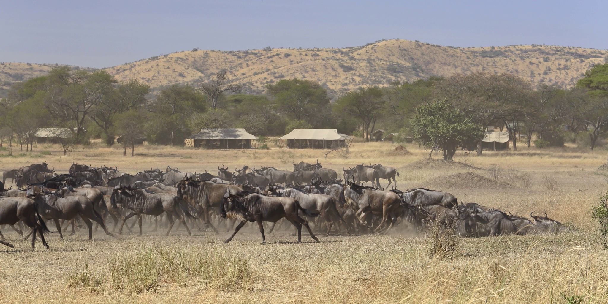 Ubuntu Camp | Luxury Serengeti Camps, Tanzania