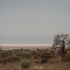 Lake Eyasi | Spectacular Salt Lake in Tanzania