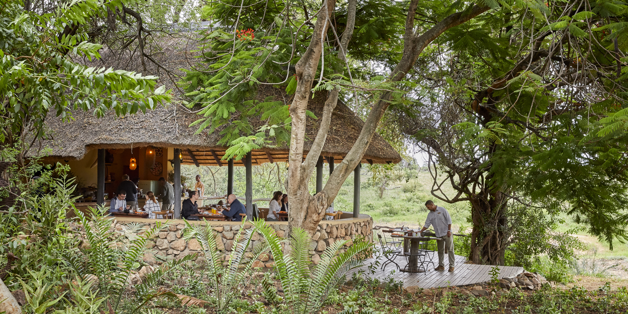 Motswari Private Game Reserve | South Africa