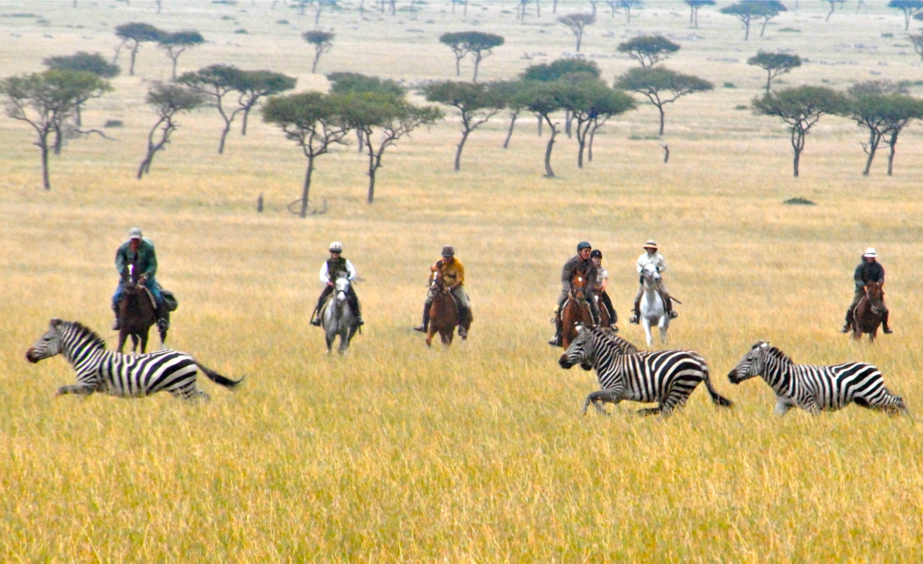 Choose your luxury horse-riding safari | Kenya
