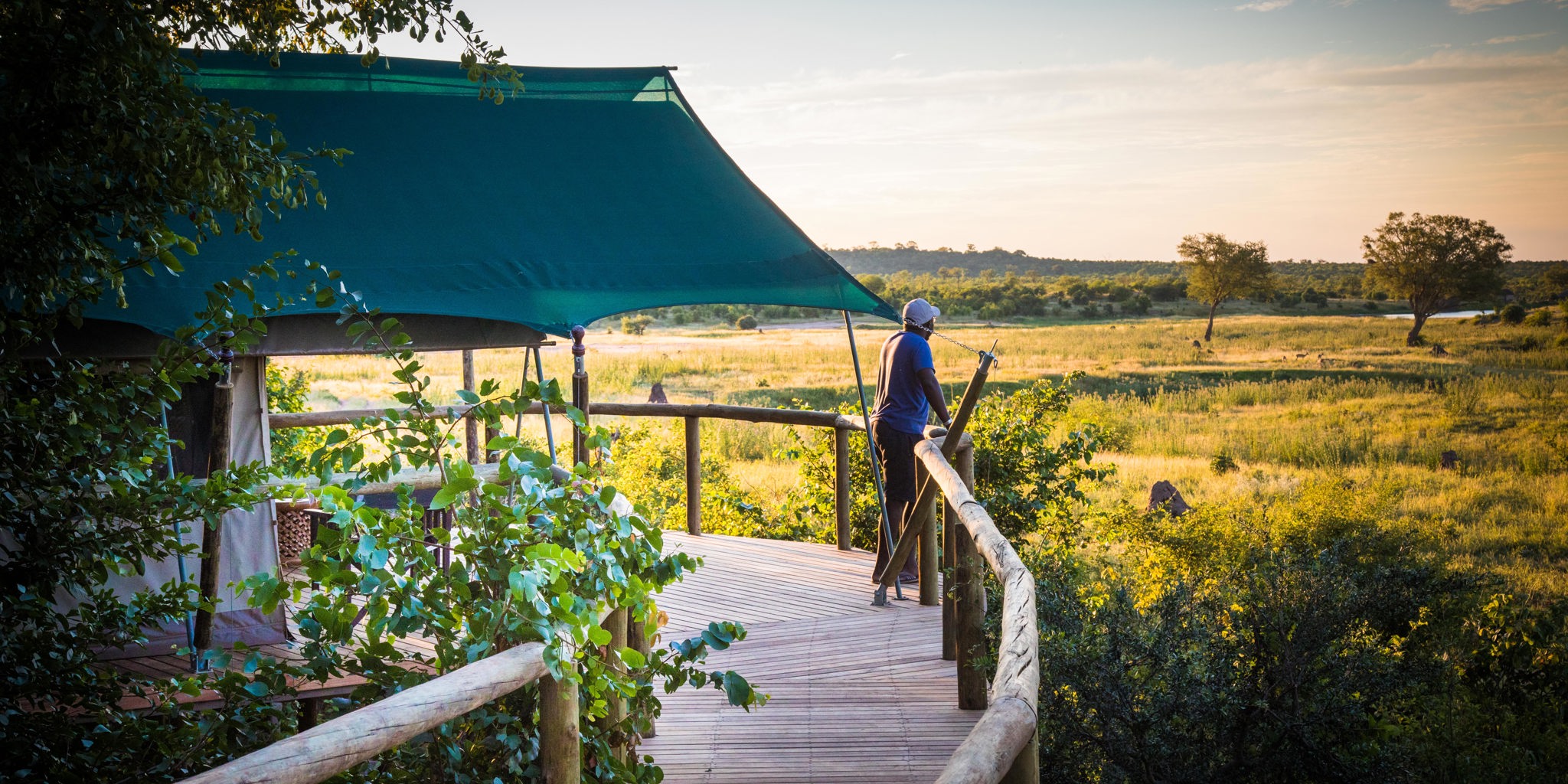 Deteema Springs | Hwange, Zimbabwe Luxury Camp