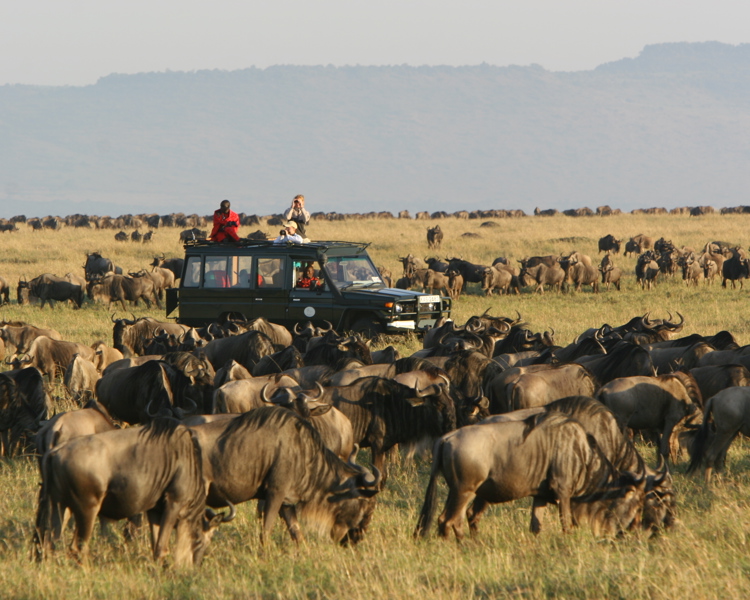 Kenya Safari Kenya Safari Holidays