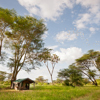 Meru Wilderness Camp | Meru National Park