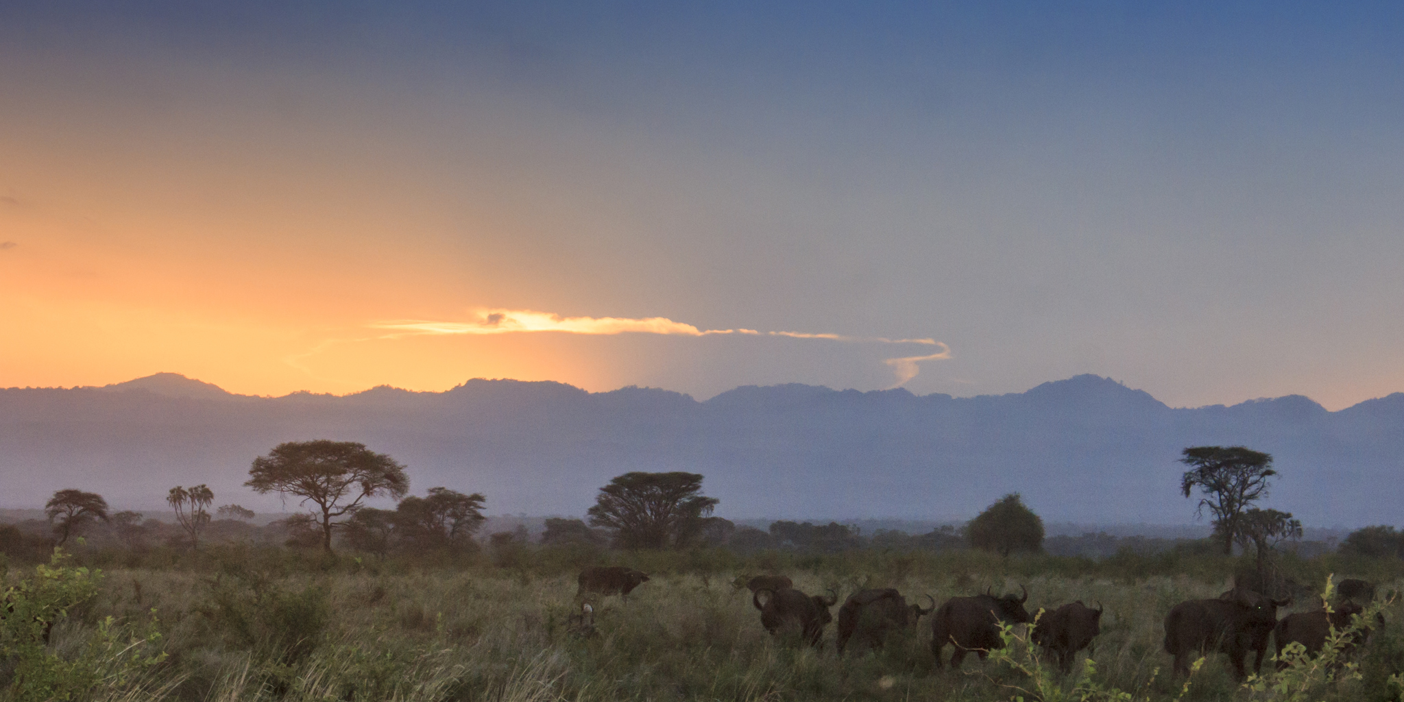 Meru Wilderness Camp | Meru National Park