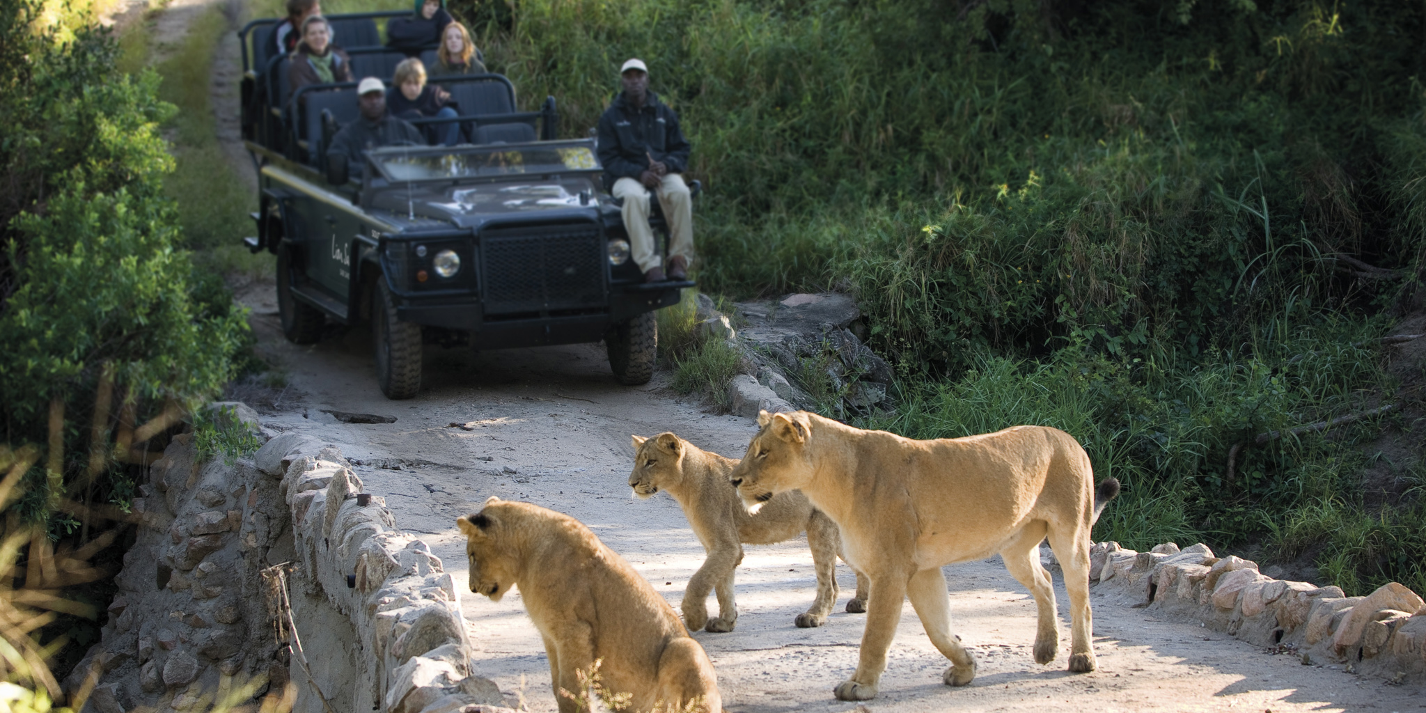 Lion Sands Tinga Lodge | South Africa Safaris