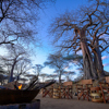 Asanja Ruaha | Luxury Lodges in Ruaha, Tanzania