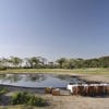 Lake Manyara Tree Lodge Lake Manyara National Park Accommodation