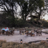 Ntemwa–Busanga | Bush Camps in Zambia
