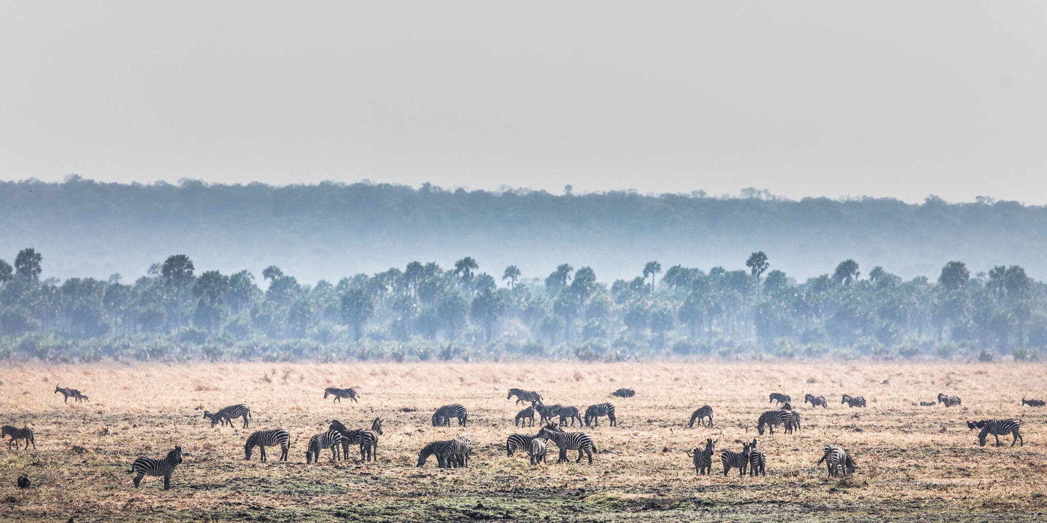 Katavi National Park Safaris | Tanzania