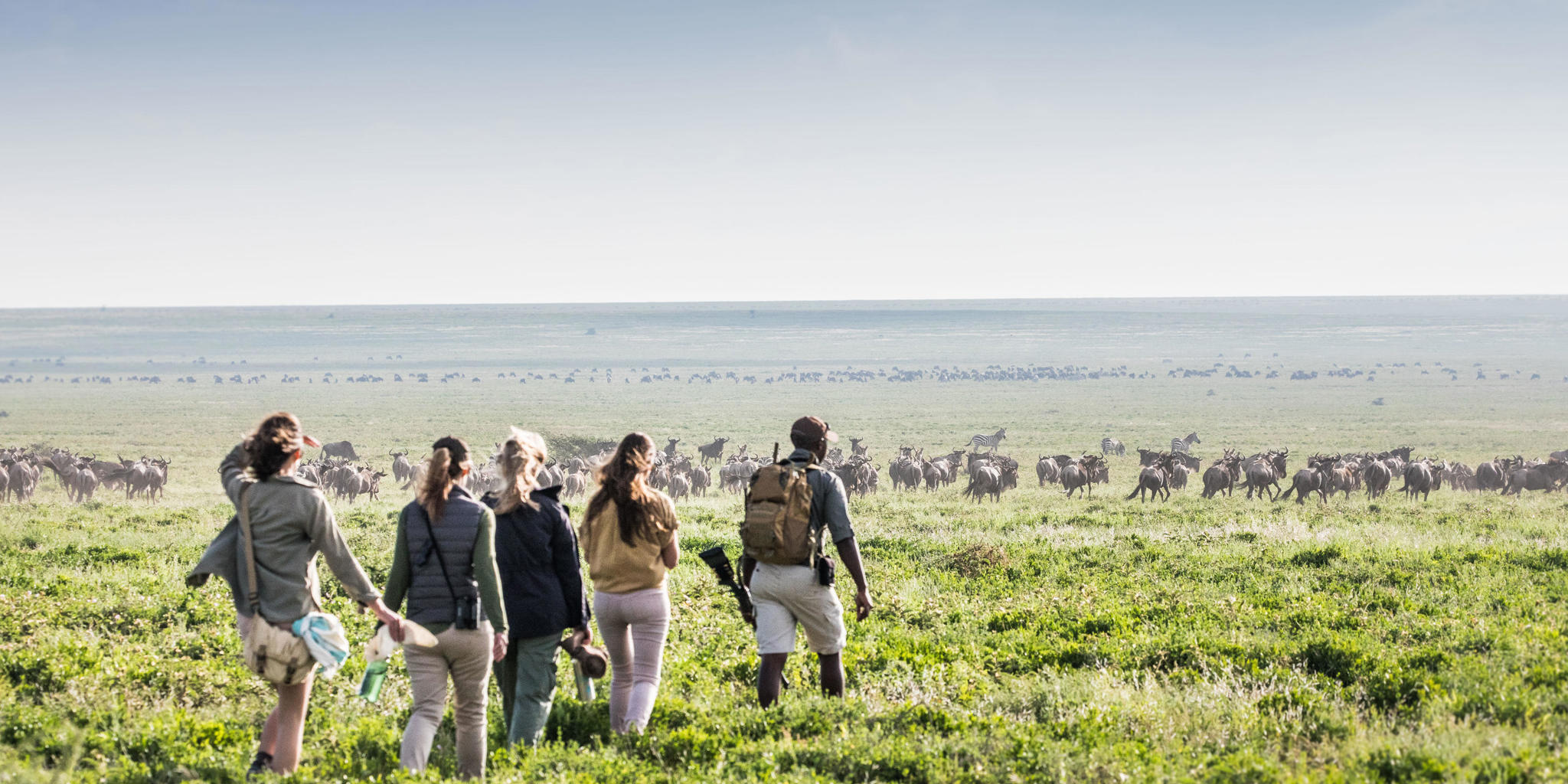 Nyasi Migrational Camp | Serengeti lodge