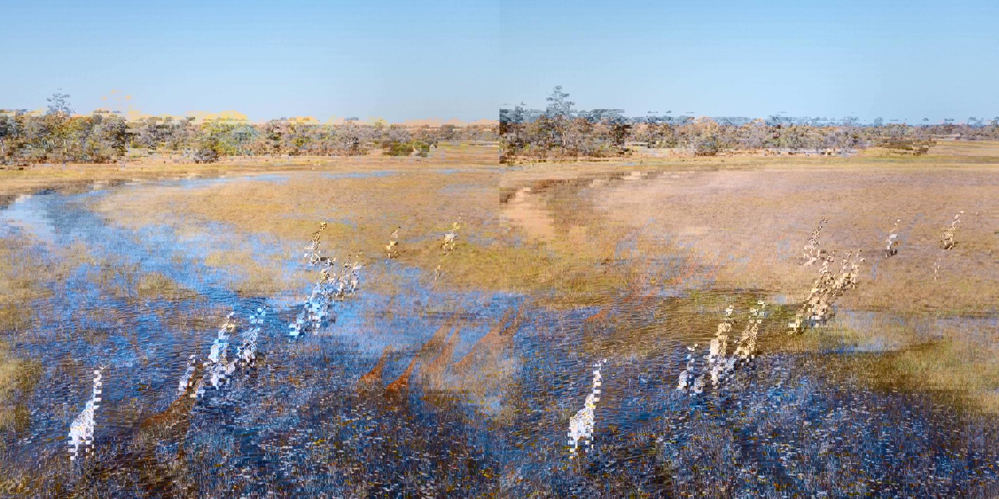 Okavango Explorers Camp | Okavango Delta