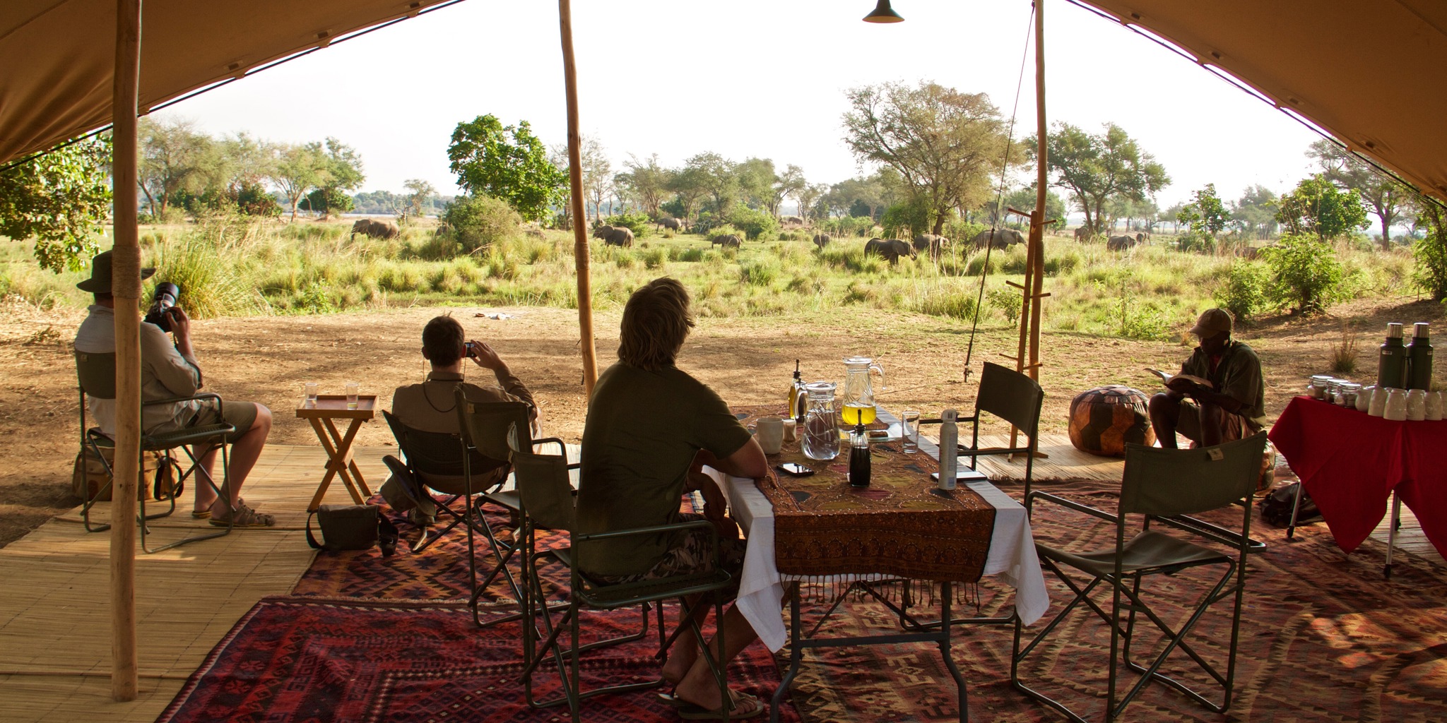 Classic Zambia: A Partnership in the Wild