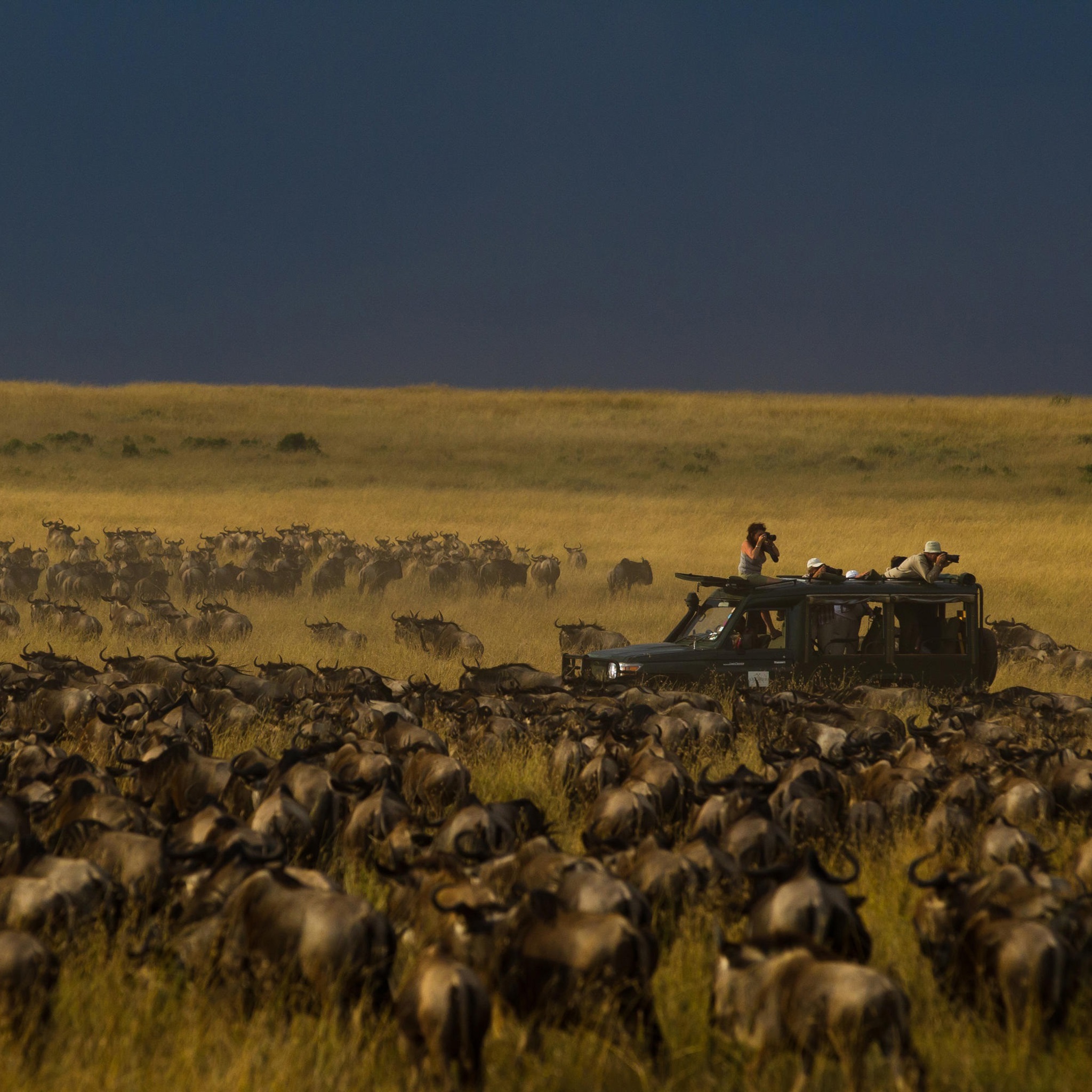 Kenya's prime game viewing areas