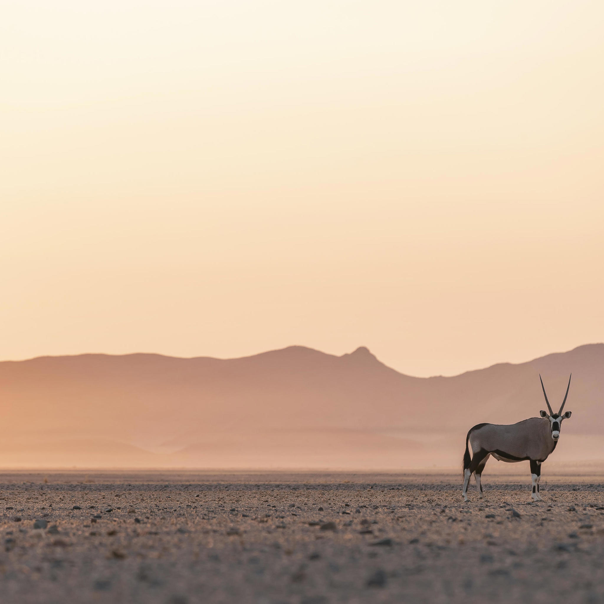 Namibia's known highlights