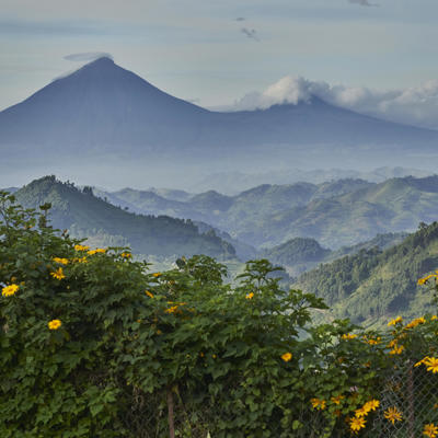 Hiking in Bwindi, Uganda: Buhoma to Nkuringo