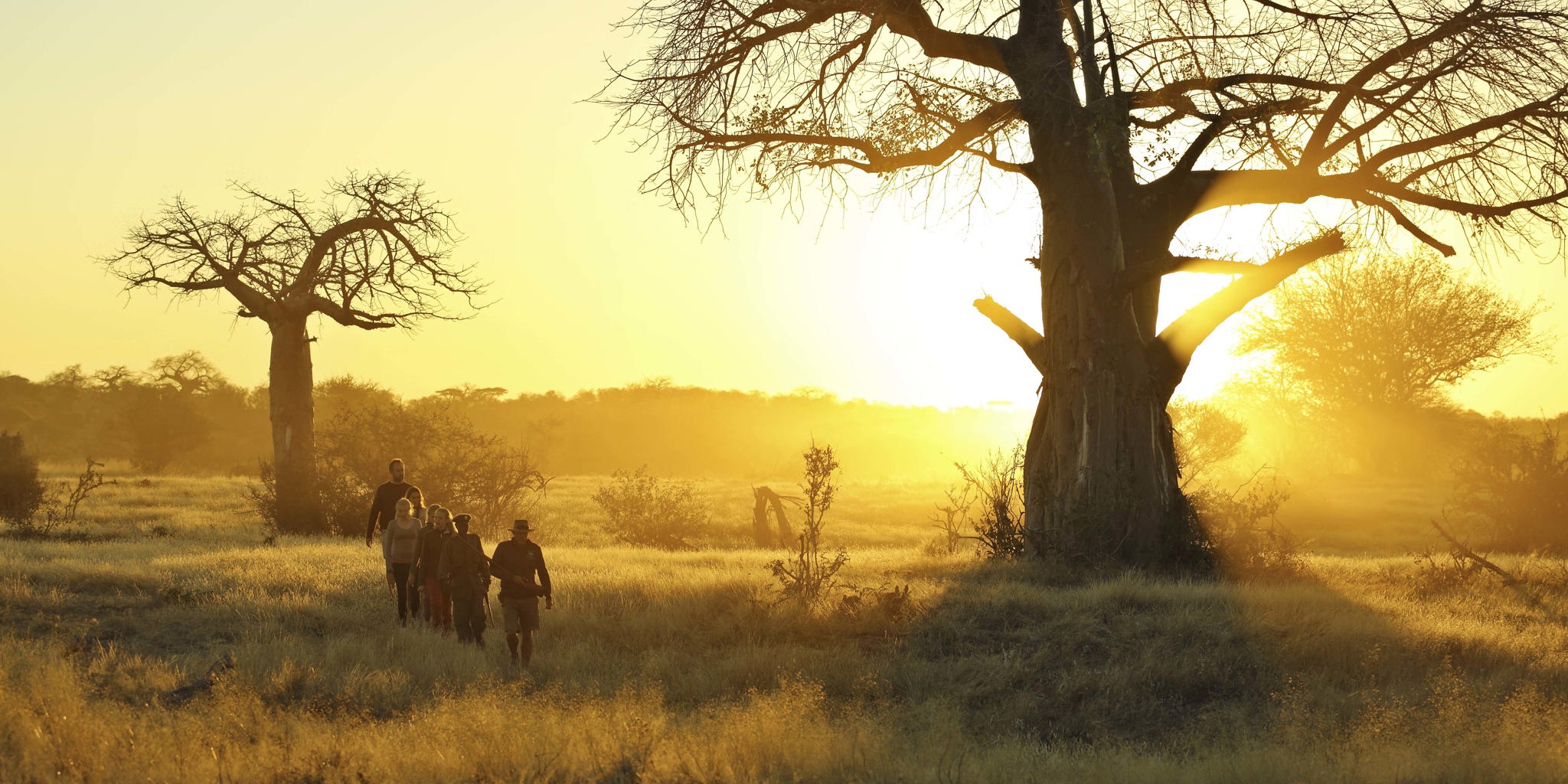 Kichaka Expeditions | Lodges in Ruaha, Tanzania