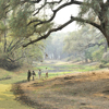 Chiawa Camp | Luxury Camp and Lodges in Zambia