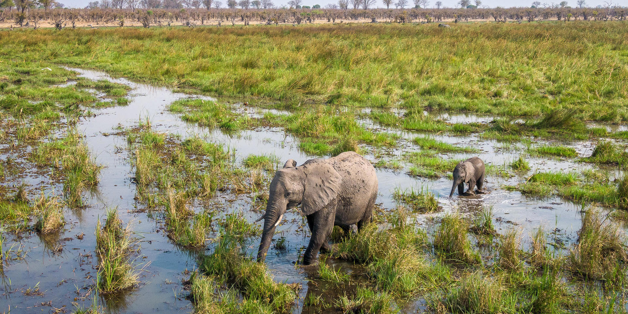 Wilderness Mokete | Okavango Delta Lodges