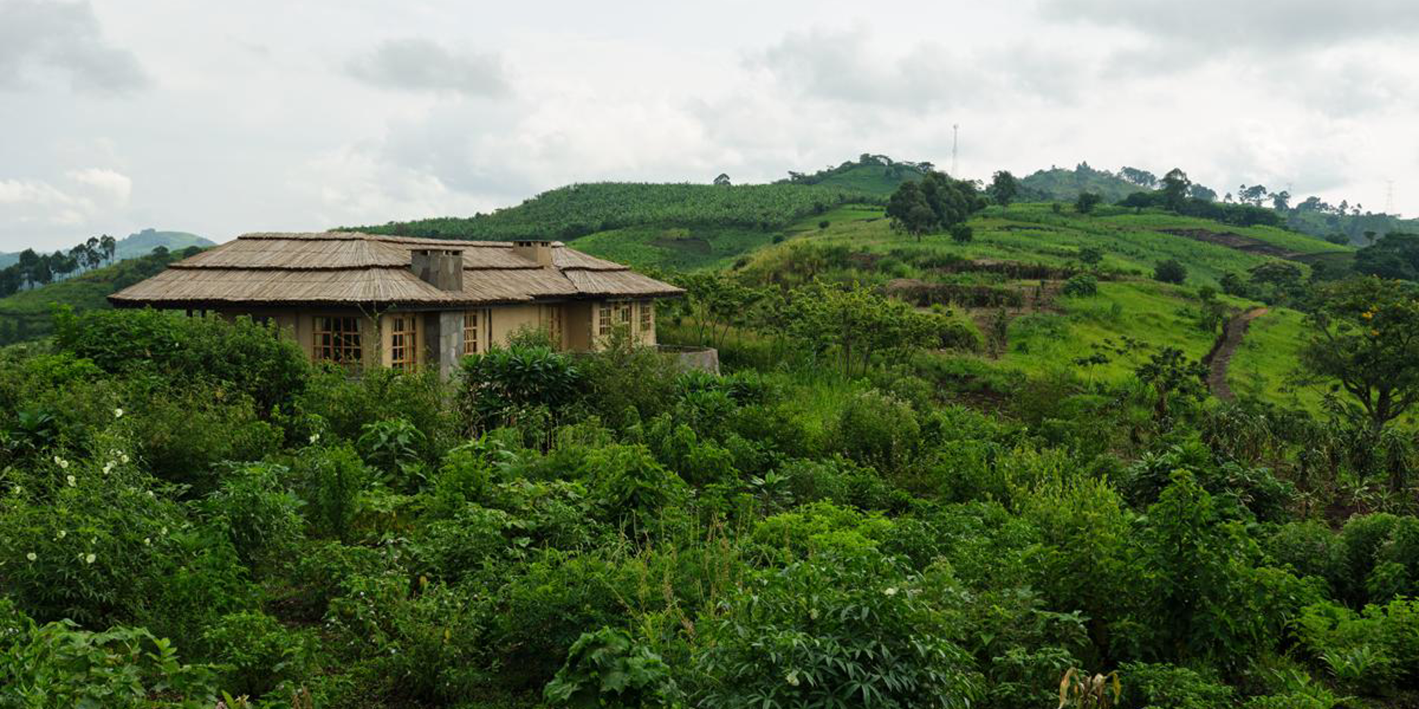 Kibale Lodge | Luxury Lodges in Uganda