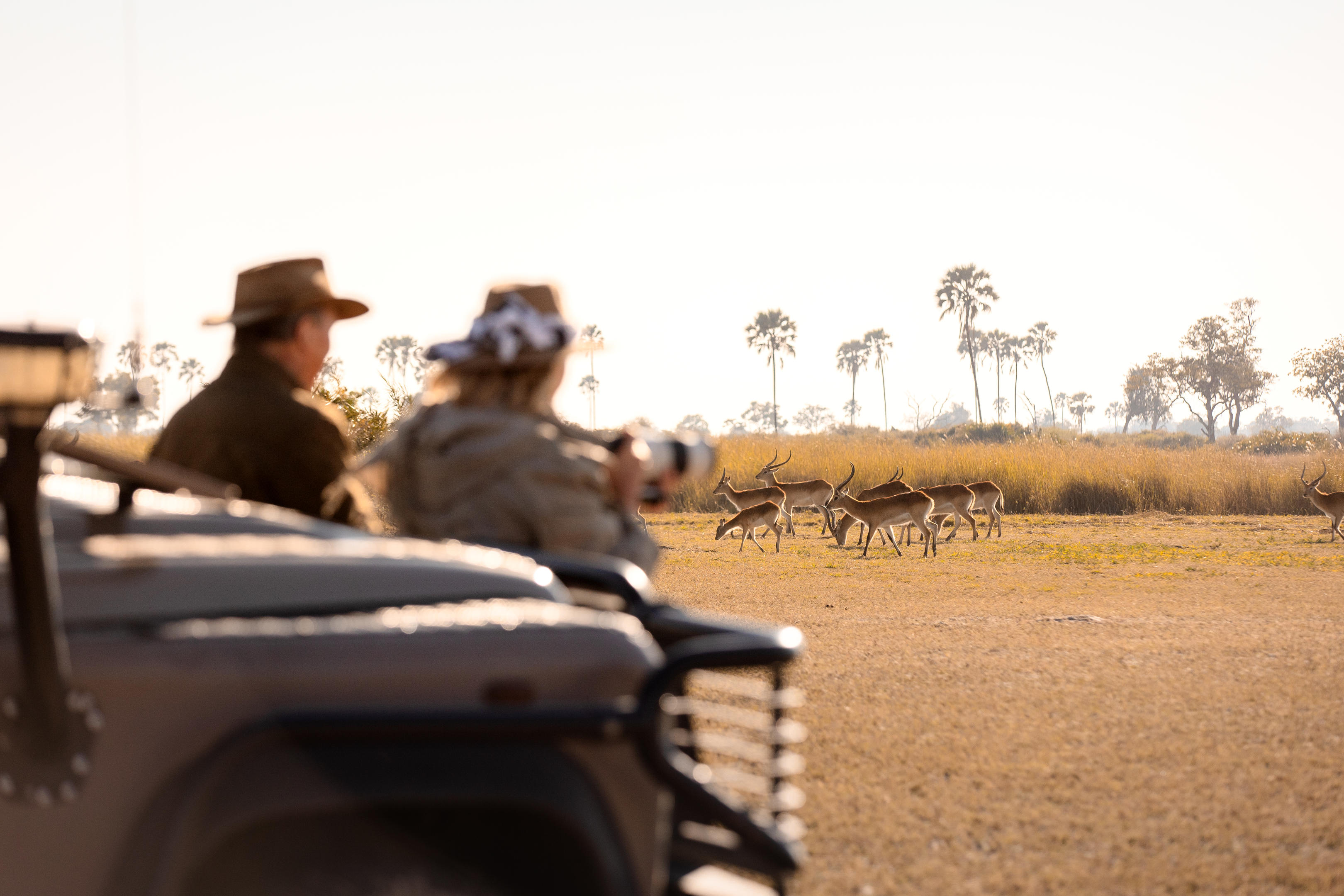 Specialist Types of Safaris | Special Interests | Yellow Zebra Safaris