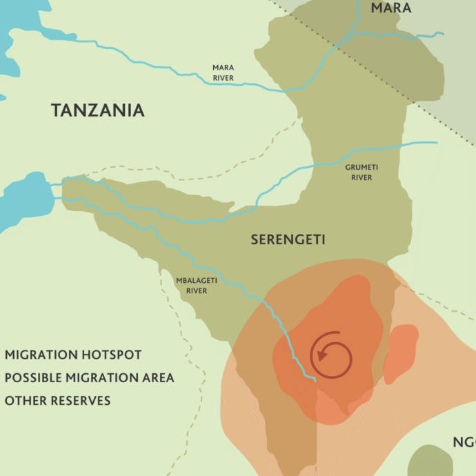 Serengeti Safaris | Tanzania Safaris | Yellow Zebra Safaris