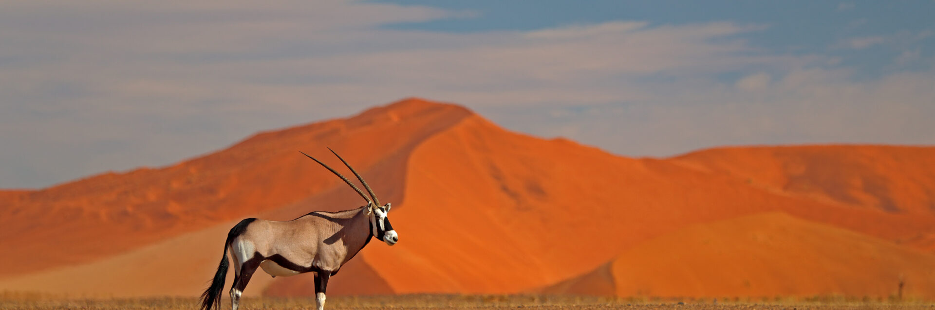 Safari in May | When to go to Africa | Yellow Zebra Safaris