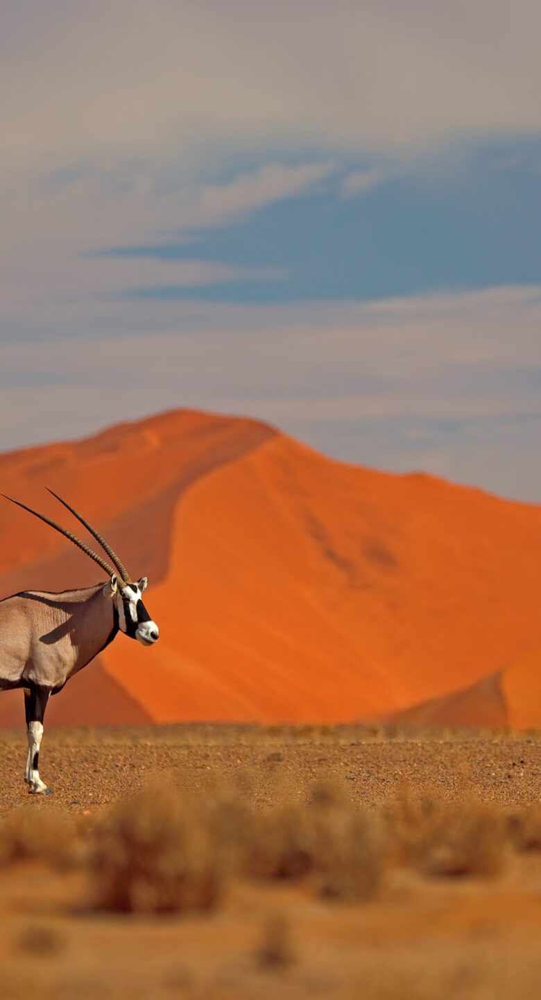 Safari in May | When to go to Africa | Yellow Zebra Safaris