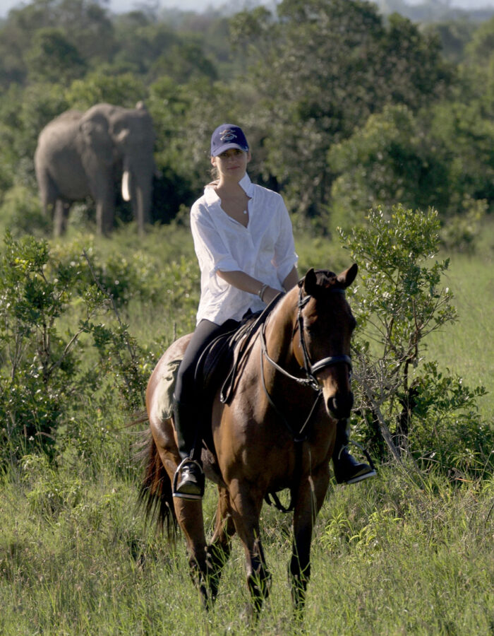 Nairobi Safari Holidays | Kenya | Yellow Zebra Safaris
