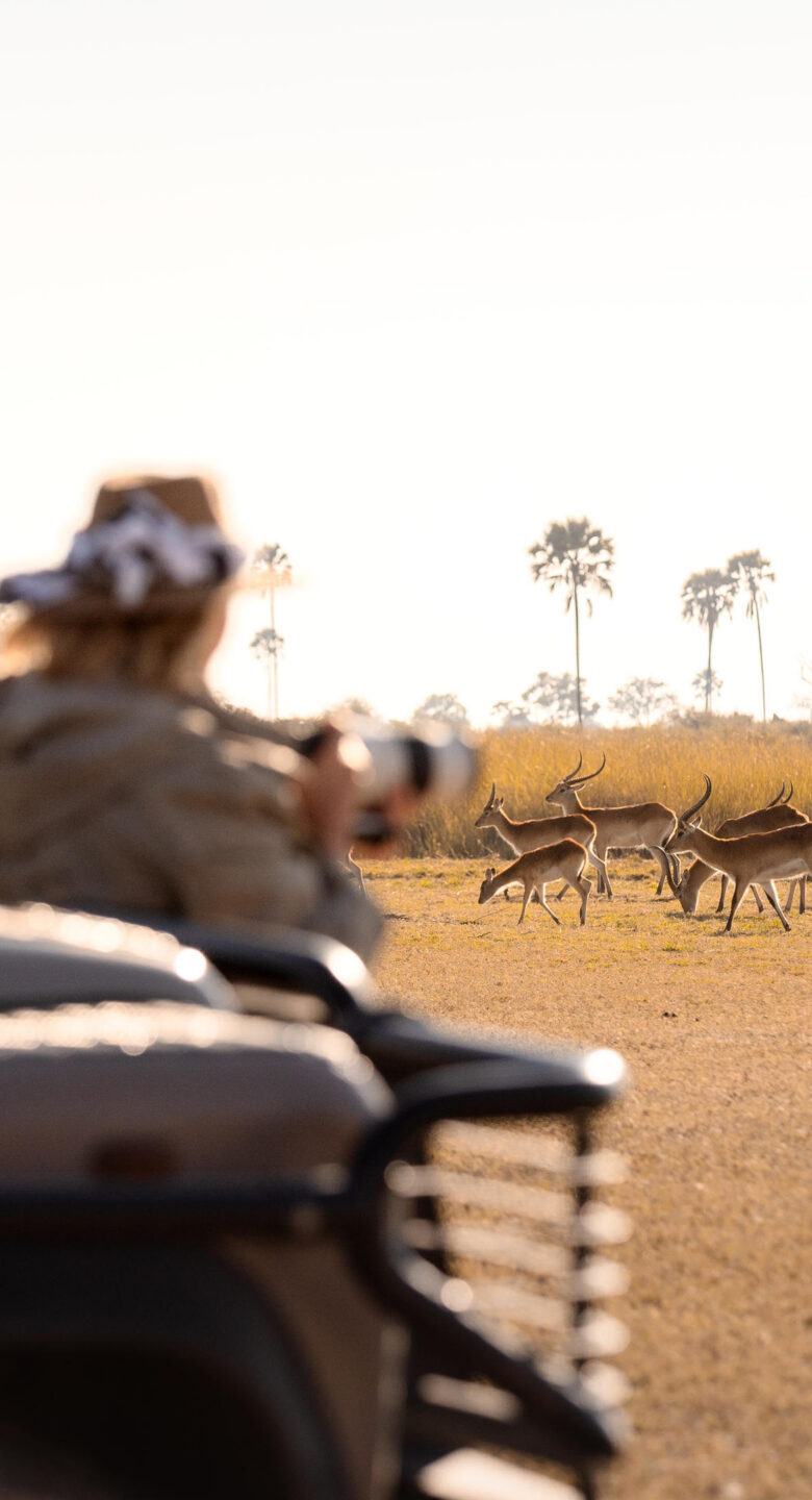 Specialist Types of Safaris | Special Interests | Yellow Zebra Safaris